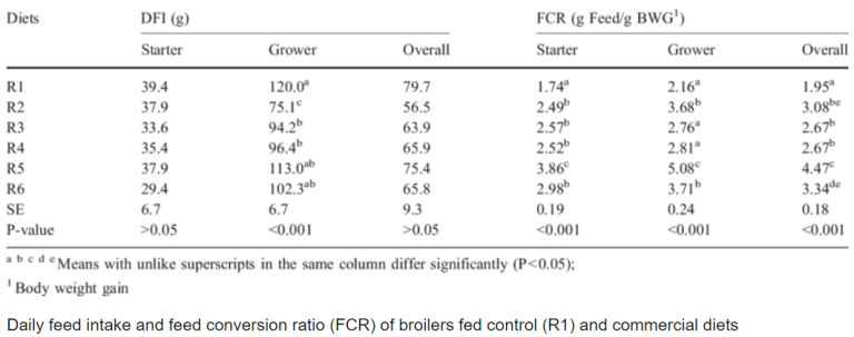 7 Tips Meningkatkan Efisiensi FCR Ayam Broiler