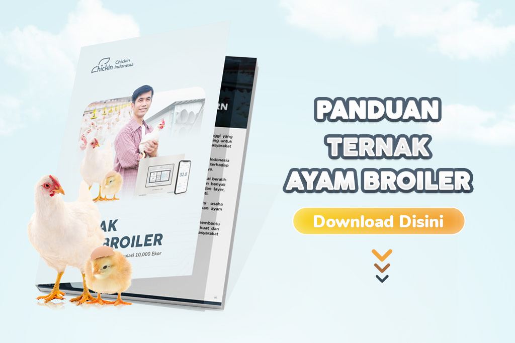 [Download] Panduan Ternak Ayam Broiler Untuk Pemula