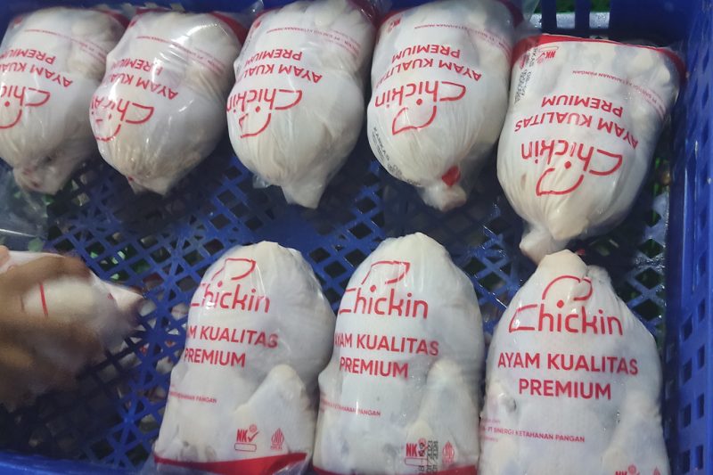 Perbandingan Ayam Frozen vs Ayam Fresh: Mana yang Lebih Baik untuk ...