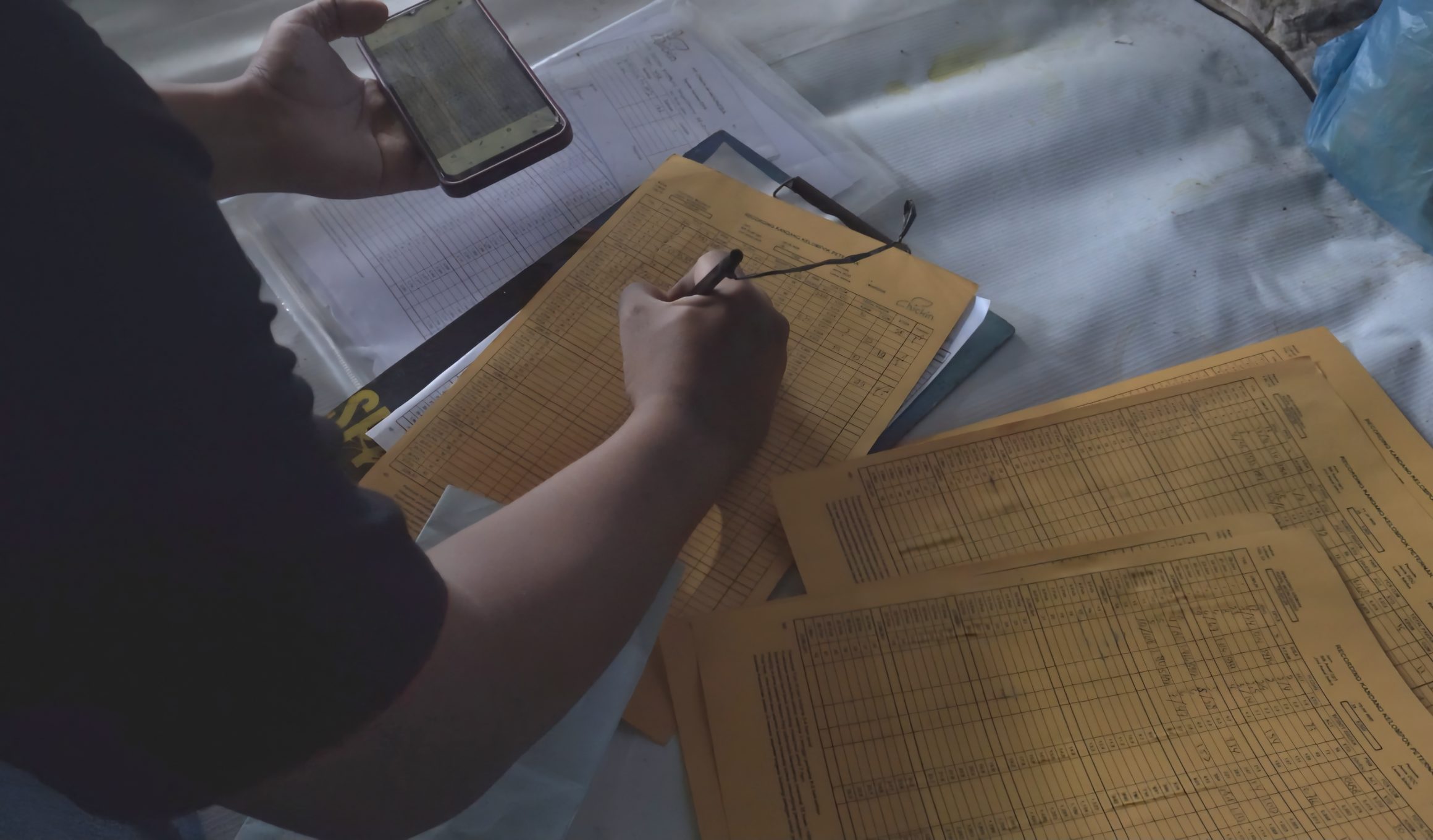 Pentingnya Recording Kandang untuk Kesejahteraan Ayam