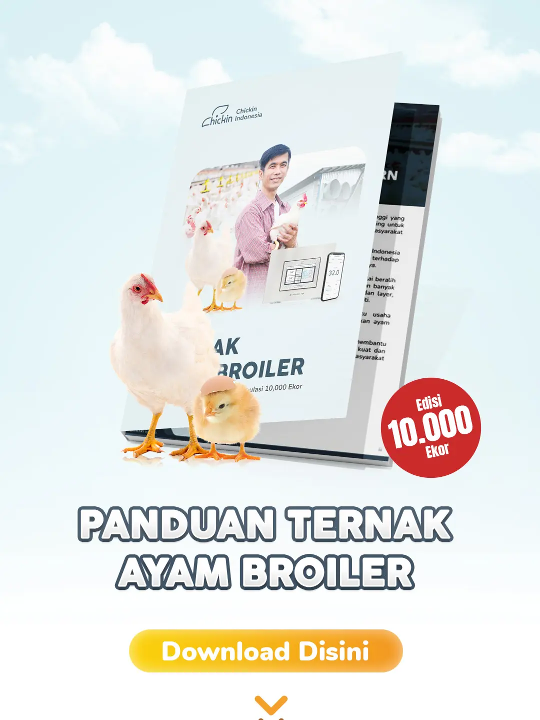 Tips Ternak Ayam untuk Pemula Agar Tidak Salah Langkah